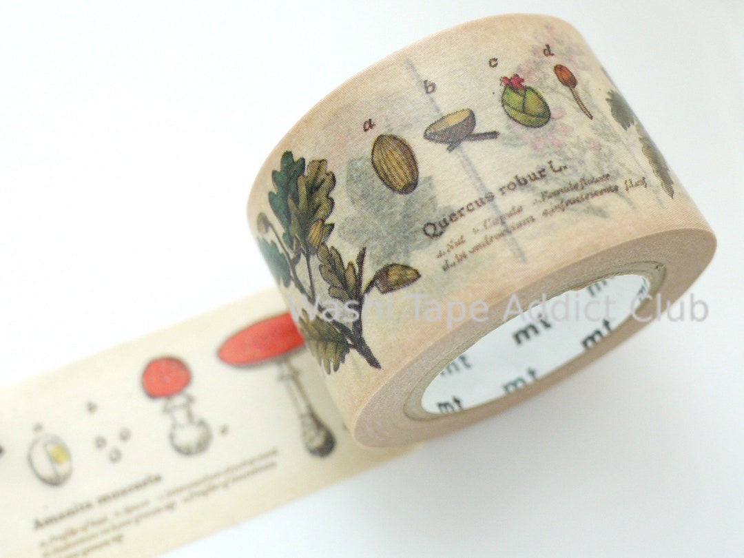 Plant Washi Tape, Picture Book Wide Washi Tape - Etsy