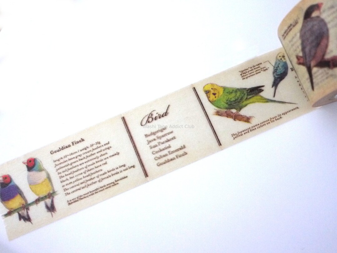 Bird Wide Washi Tape, Bird Dictionary - Etsy