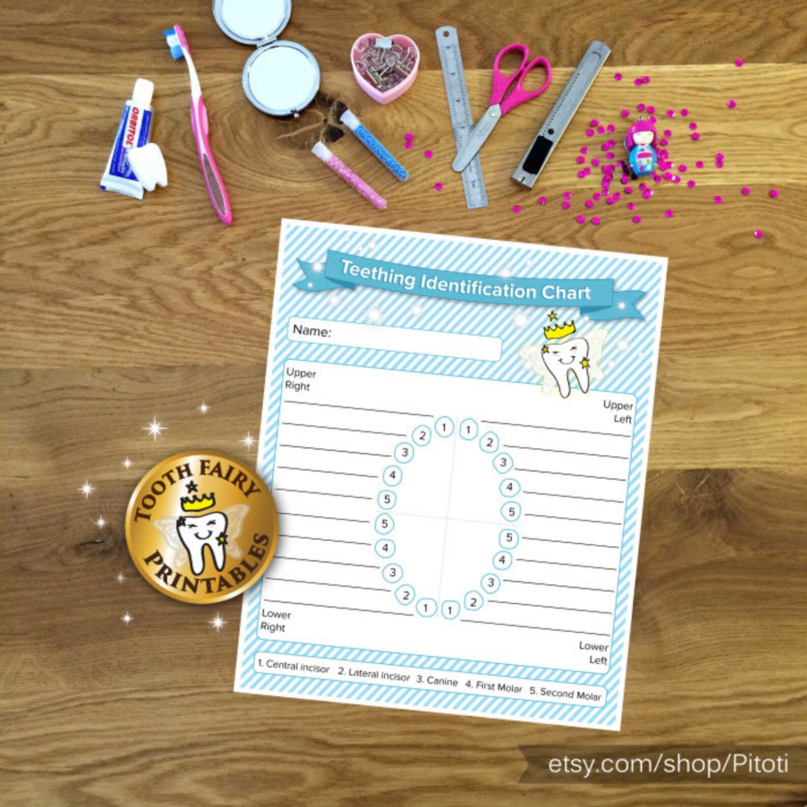 Baby Teething Identification Chart Printable Teething Chart - Etsy