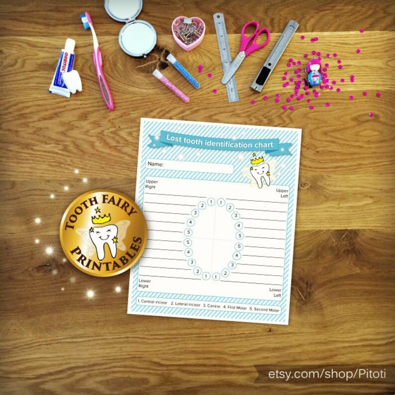 Tooth fairy lost tooth chart Printable lost tooth chart | Etsy