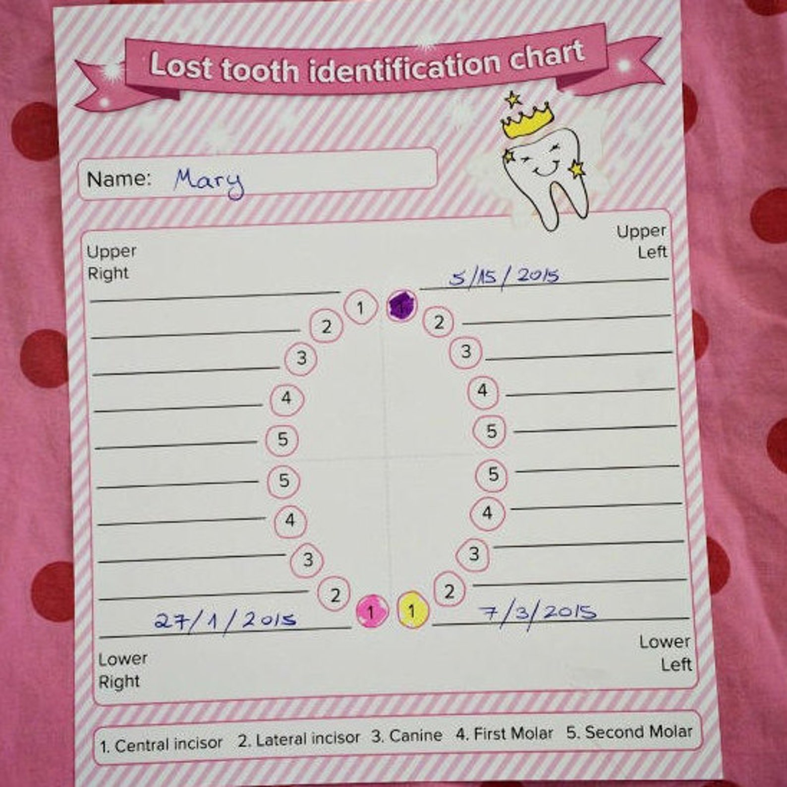 Lost Tooth Chart Tooth Fairy Printables Child Tooth Chart - Etsy