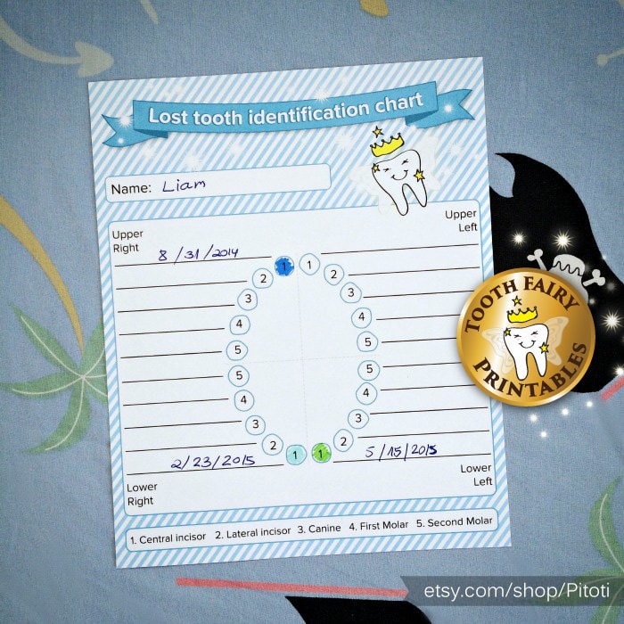 Tooth fairy lost tooth chart Printable lost tooth chart | Etsy