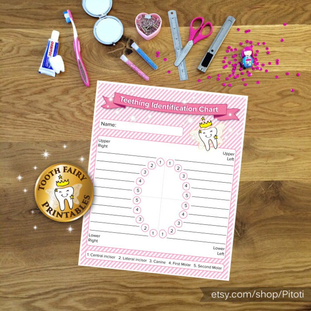 Baby Teething Identification Chart, Printable Teething Chart, Tooth ...