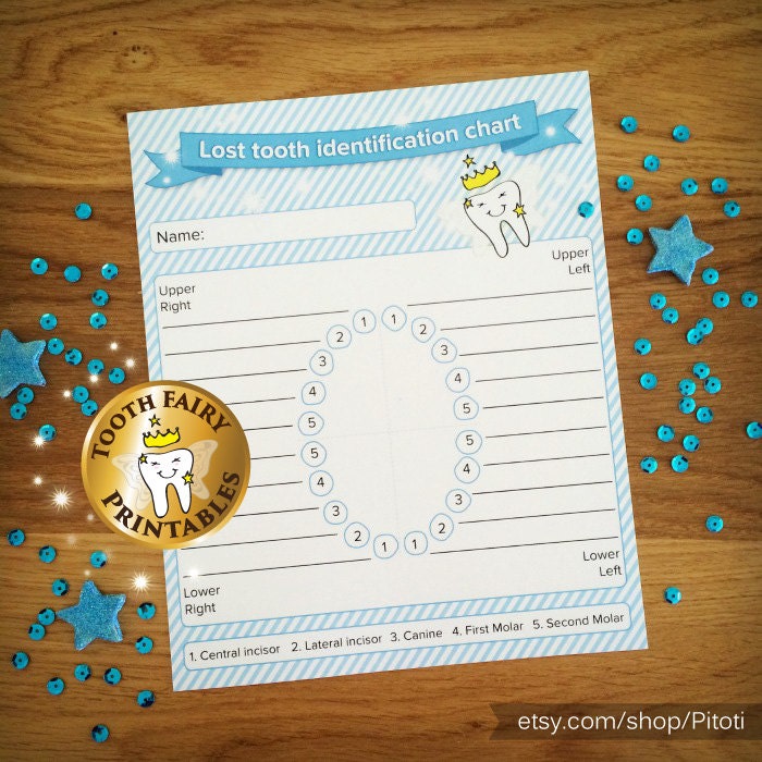 Tooth fairy lost tooth chart Printable lost tooth chart | Etsy