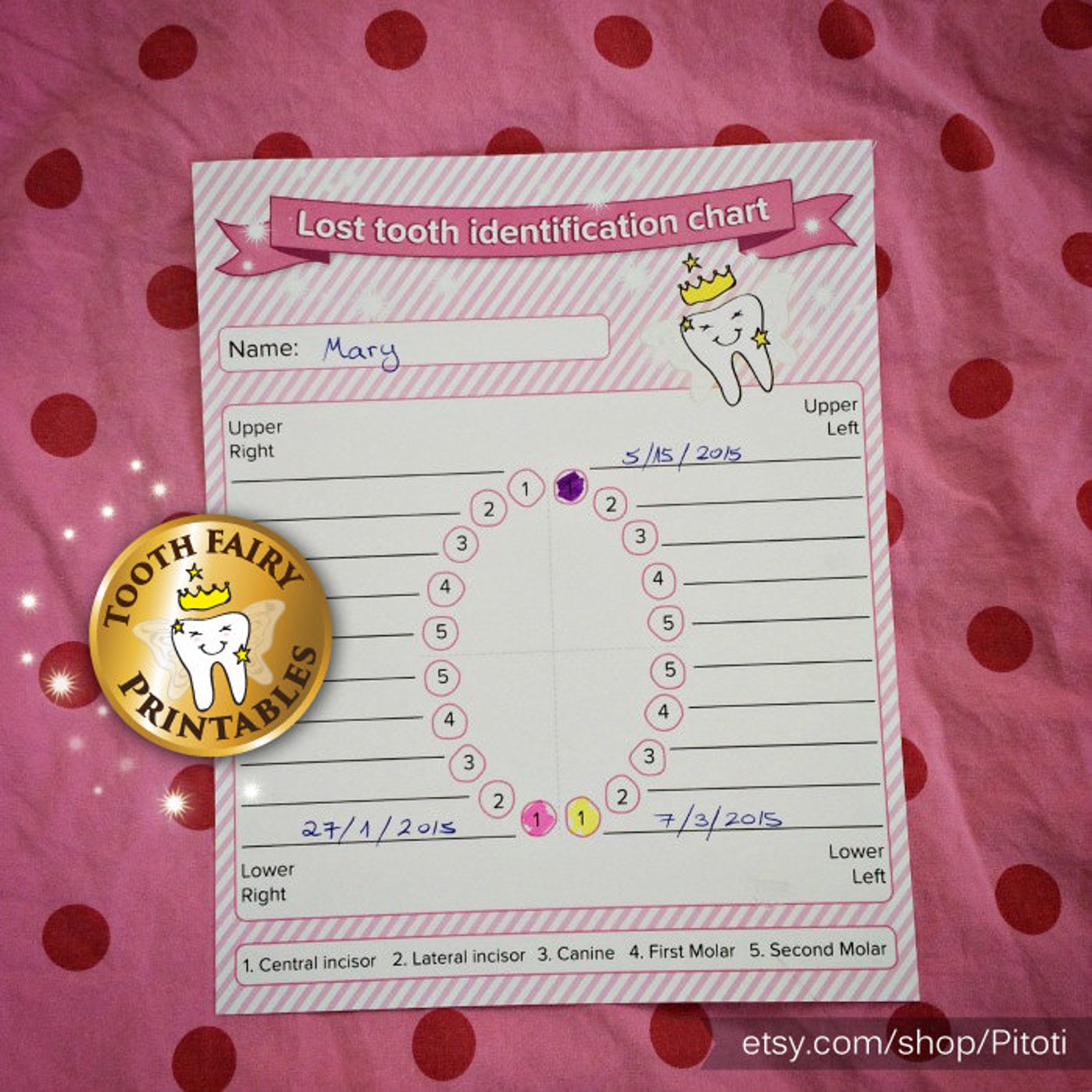 Lost Tooth Chart Tooth Fairy Printables Child Tooth Chart - Etsy