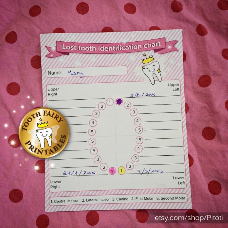 Lost Tooth Chart Tooth Fairy Printables Child Tooth Chart - Etsy