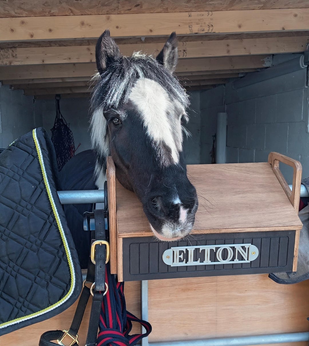 Personalised Wooden Horse Grooming Box – Plywood Stable Tidy With ...