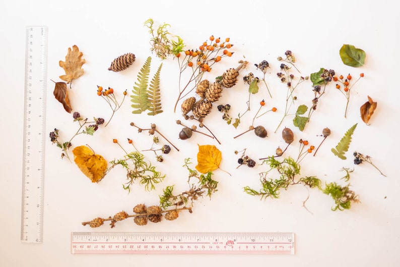 Forest Box Fall Autumn Craft Box for Resin Art Jewelry Making | Etsy