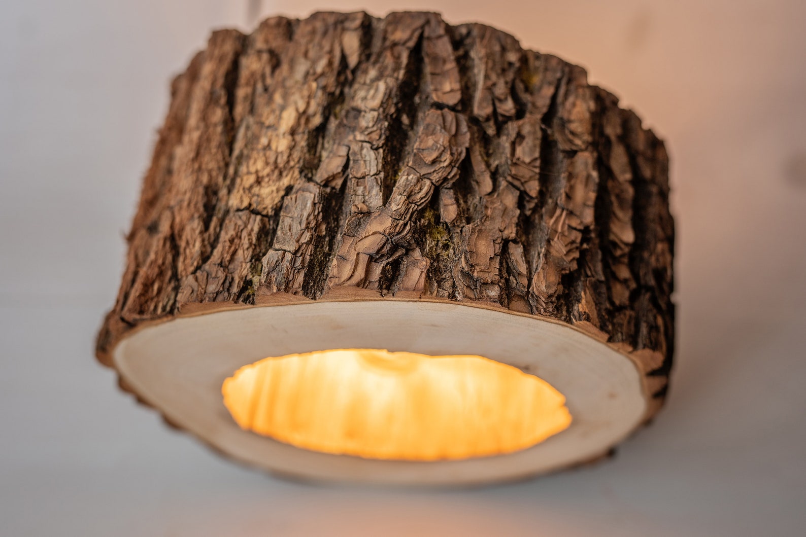Willow Log Slice Hollow Wood Lamp US EU UK Adapter - Etsy