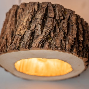 Willow Log Slice Hollow Wood Lamp US, EU, UK Adapter - Etsy