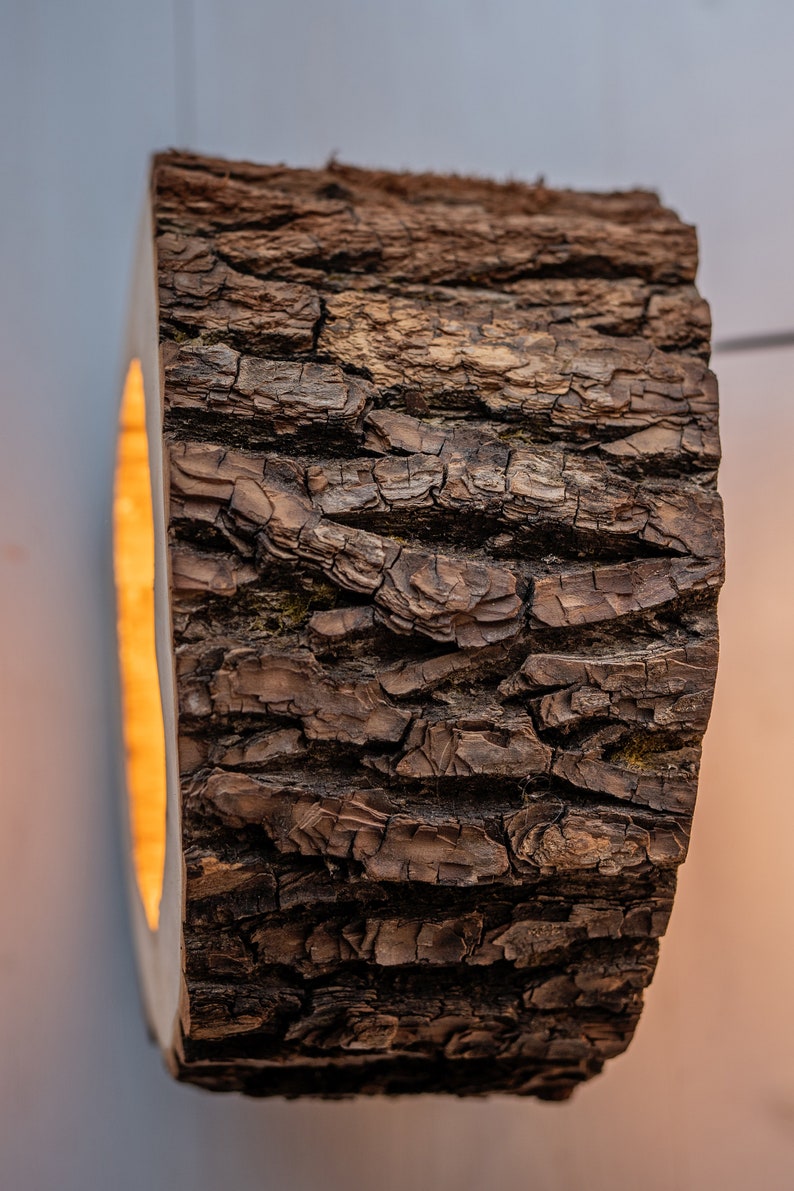 Willow Log Slice Hollow Wood Lamp US EU UK Adapter - Etsy