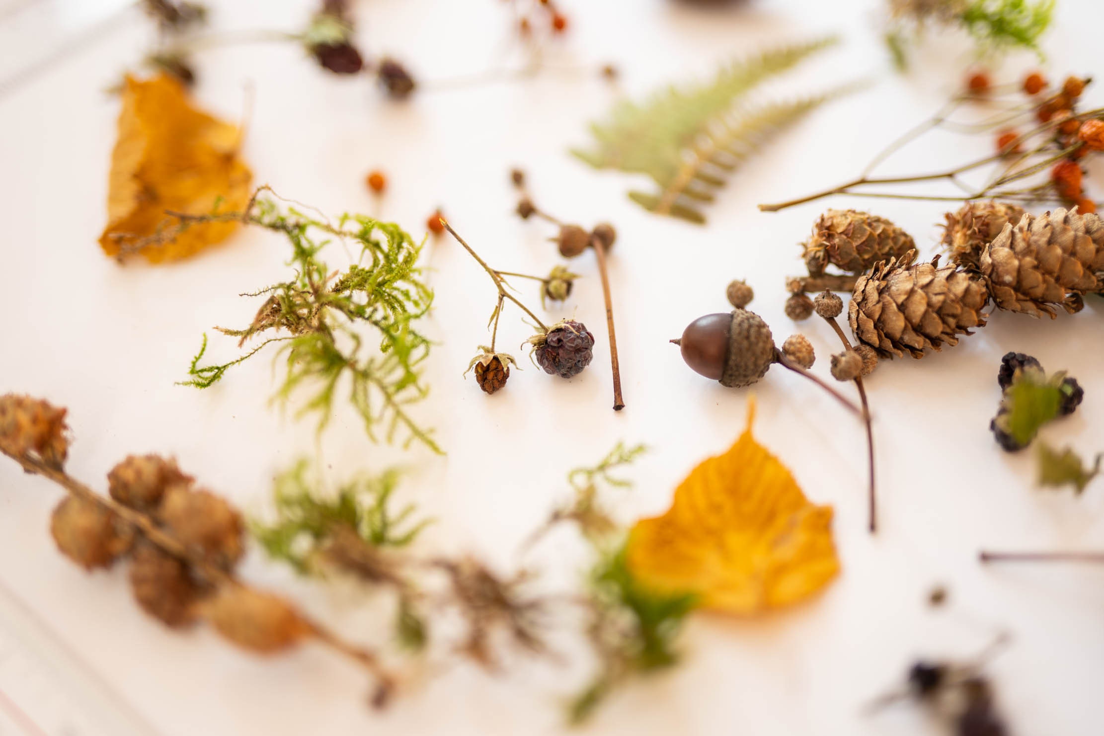 Forest box fall autumn craft box for resin art jewelry | Etsy