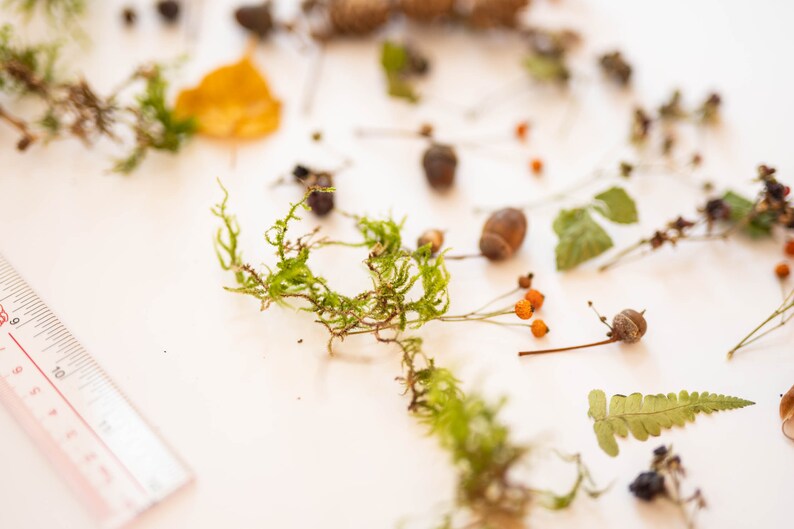 Forest Box Fall Autumn Craft Box for Resin Art Jewelry Making | Etsy