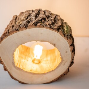 Willow Log Slice Hollow Wood Lamp US, EU, UK Adapter - Etsy