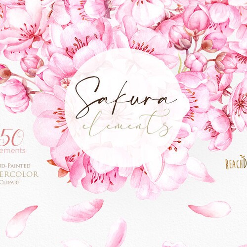 Sakura Elements. Watercolor Floral Clipart Cherry Blossom | Etsy