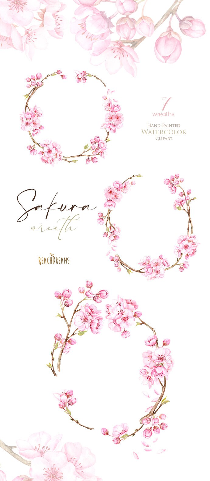 Sakura Wreaths. Watercolor Floral Clipart Cherry Blossom - Etsy