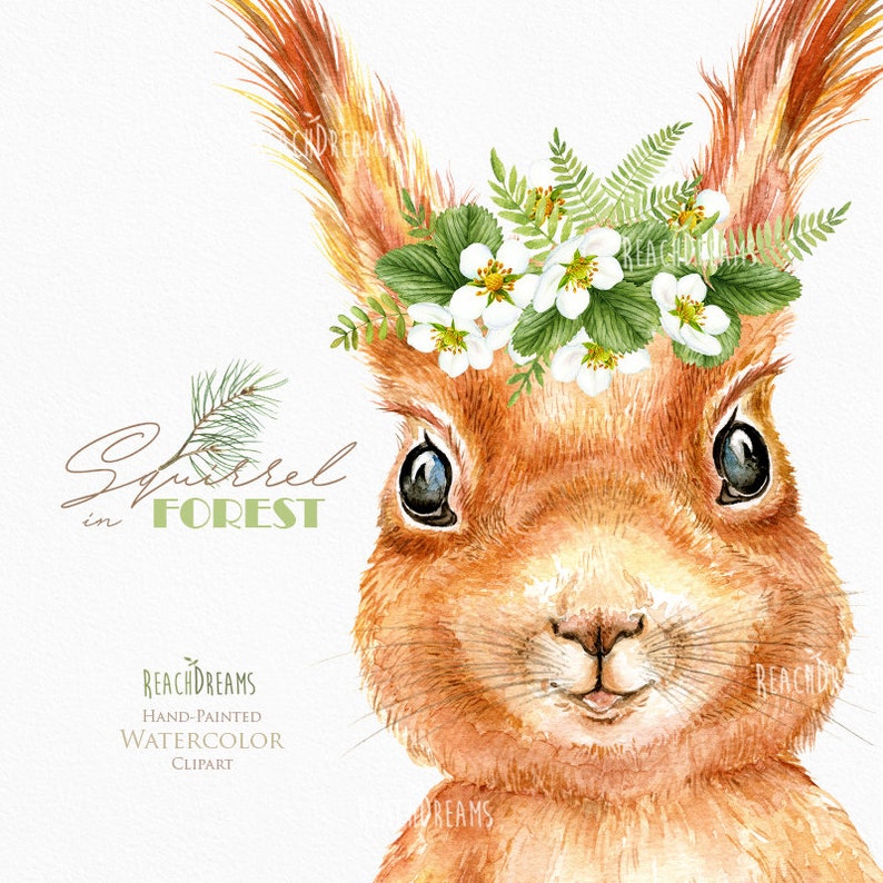 Little Squirrel. Watercolor Animals Clipart Woodland Forest - Etsy
