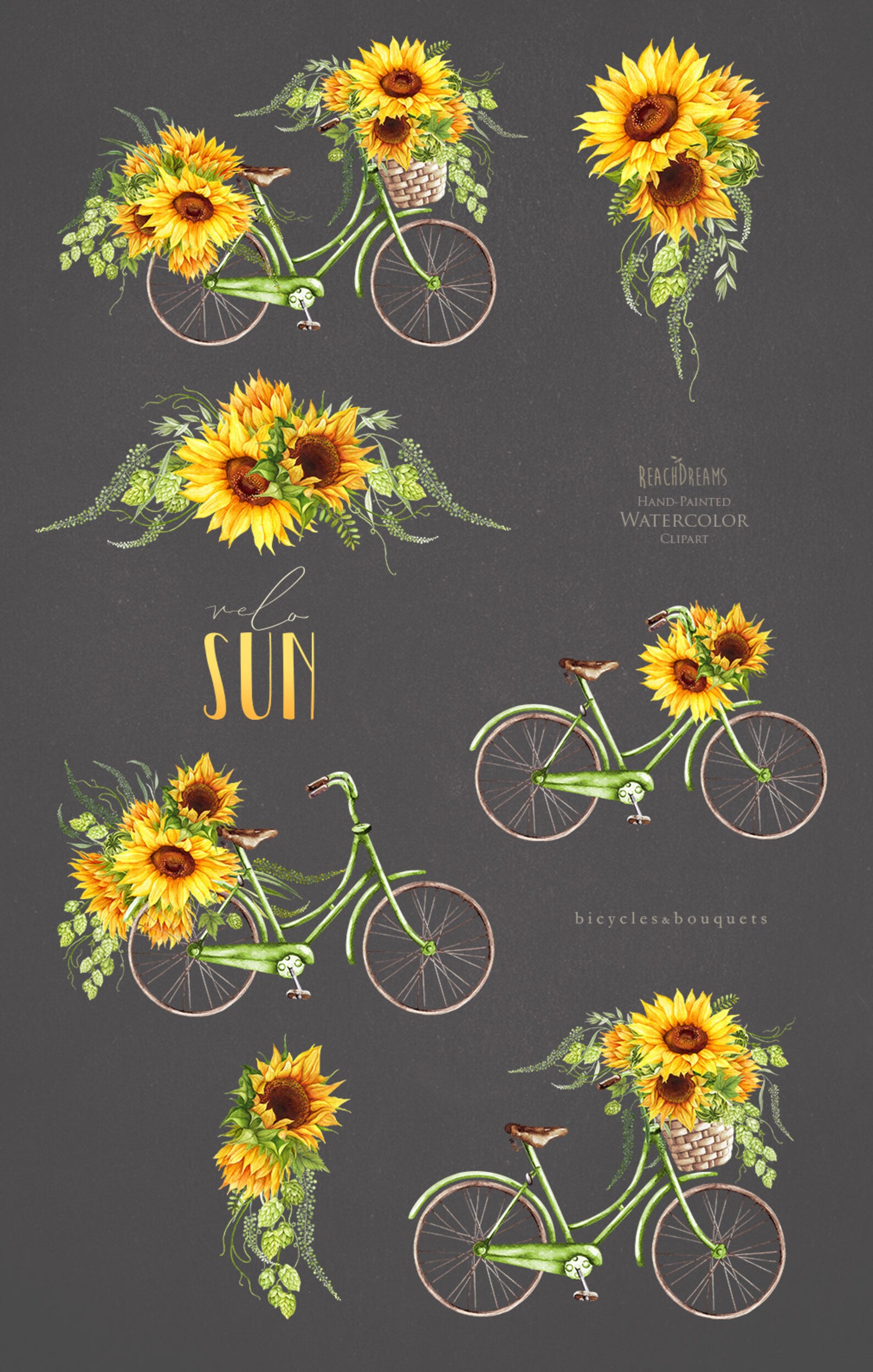 Sunflower Watercolor Flower Clipart, Vintage, Bicycle, Velo, Summer ...