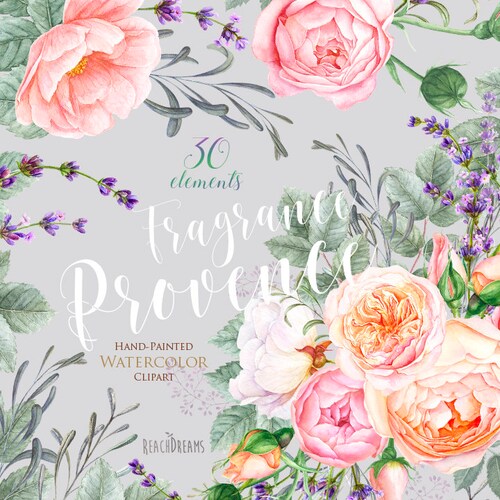 Peonies Watercolor Flowers Clipart. BOHO Hand Painted - Etsy