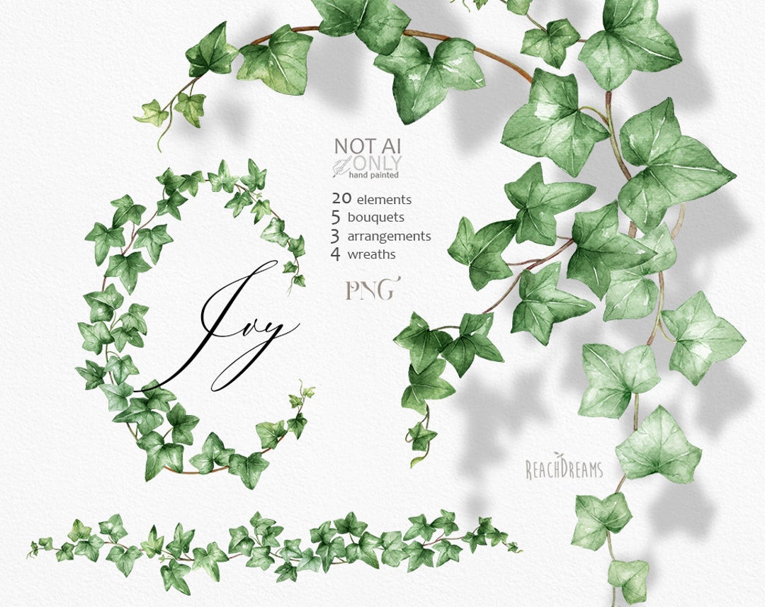 Ivy Watercolor Clipart, Greenery PNG, Watercolor Green Leaves, Bouquets ...