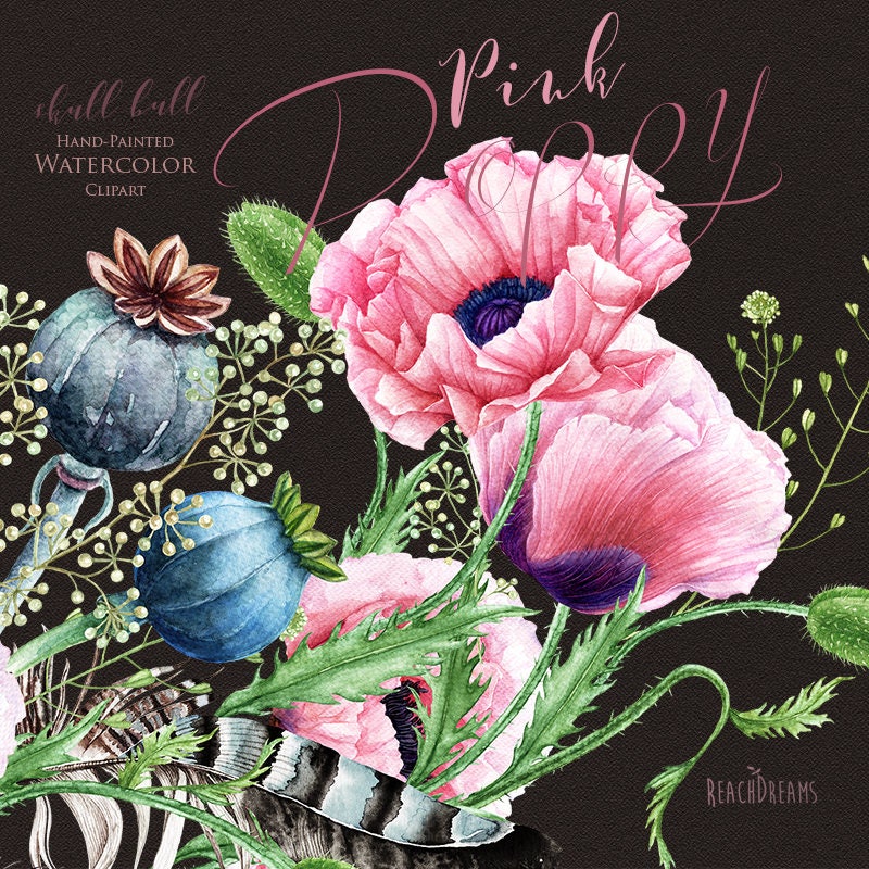 Watercolor Skull Bull Pink Poppy, Handpainted Frames, Poppies Flowers ...