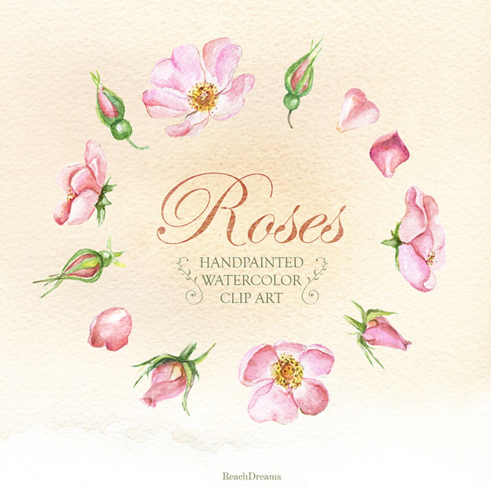 Roses Watercolor Clipart. Hand Painted Flowers, Vintage Wedding, Shabby ...