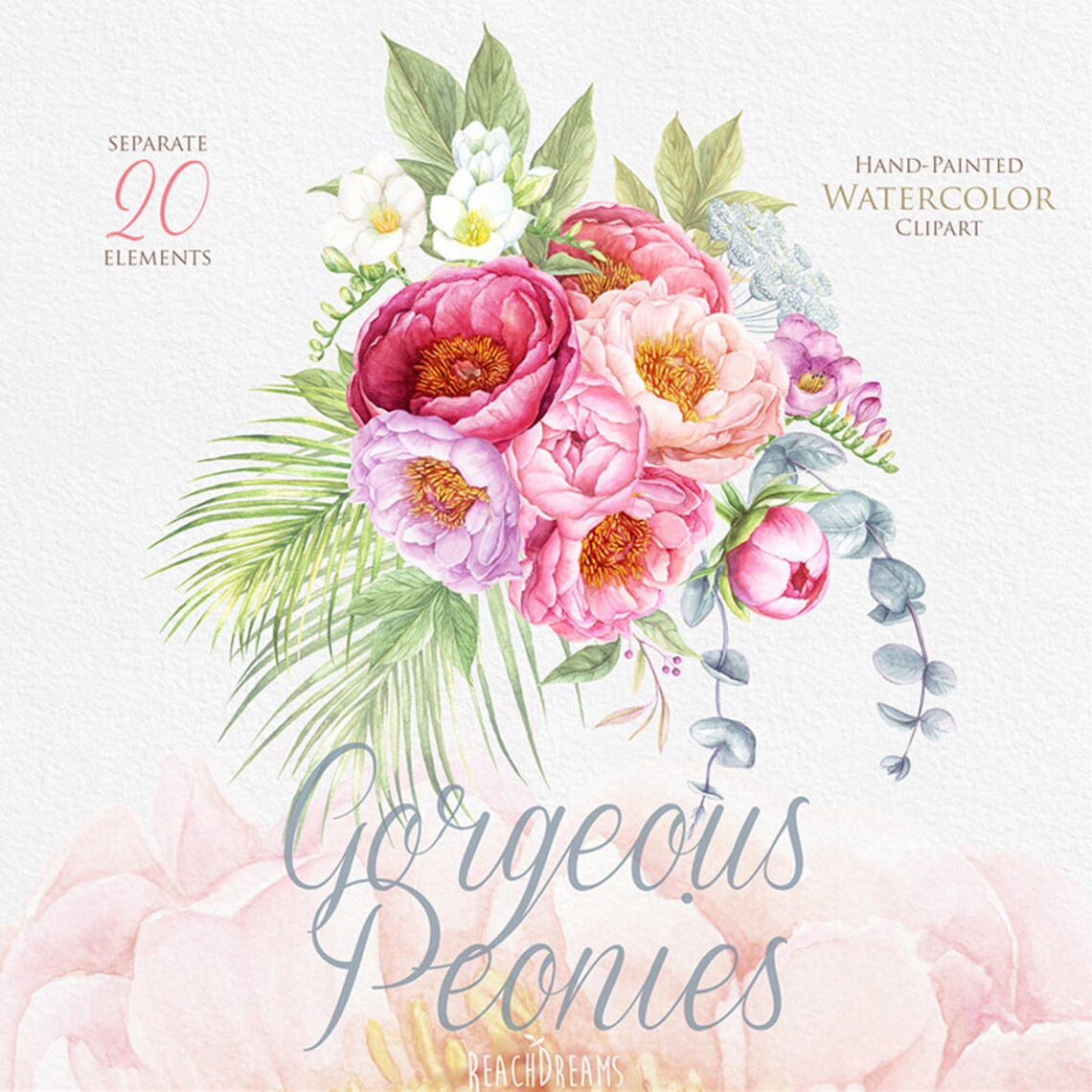 Peonies Watercolor Flowers Clipart. BOHO Hand Painted - Etsy