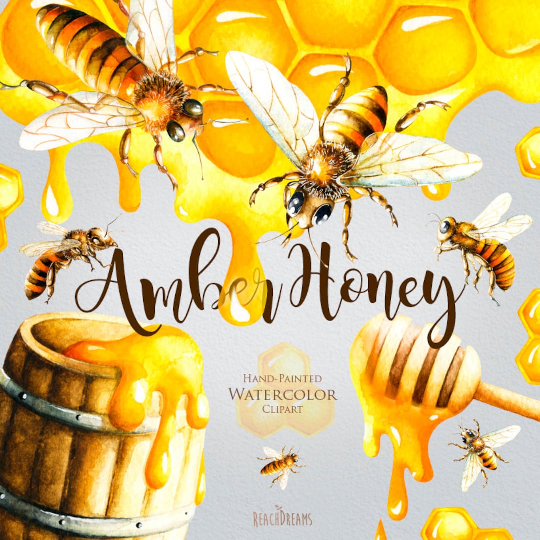 Watercolor Honey Bee Clipart, Honeycomb, Hand Painted Digital Clip Art ...
