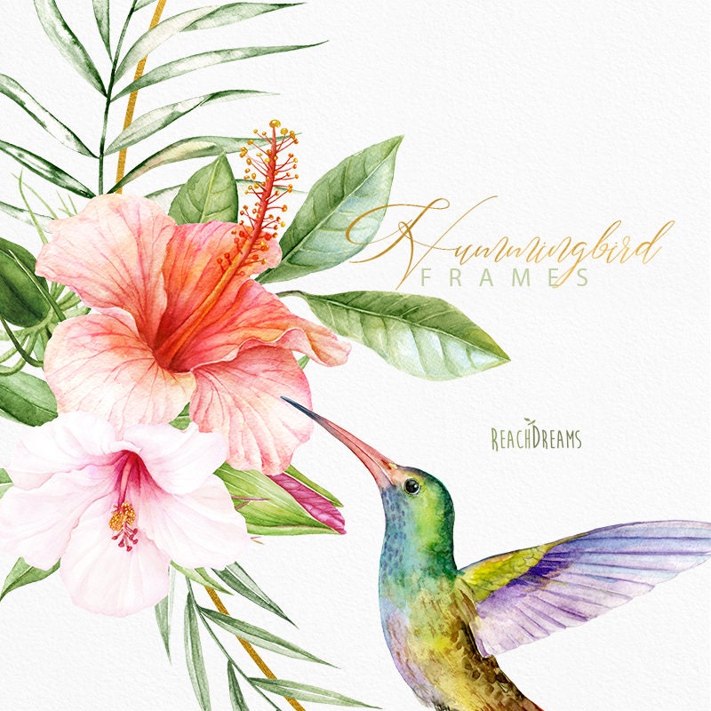 Hummingbirds Frames Watercolor Clipart Geometric Exotic - Etsy