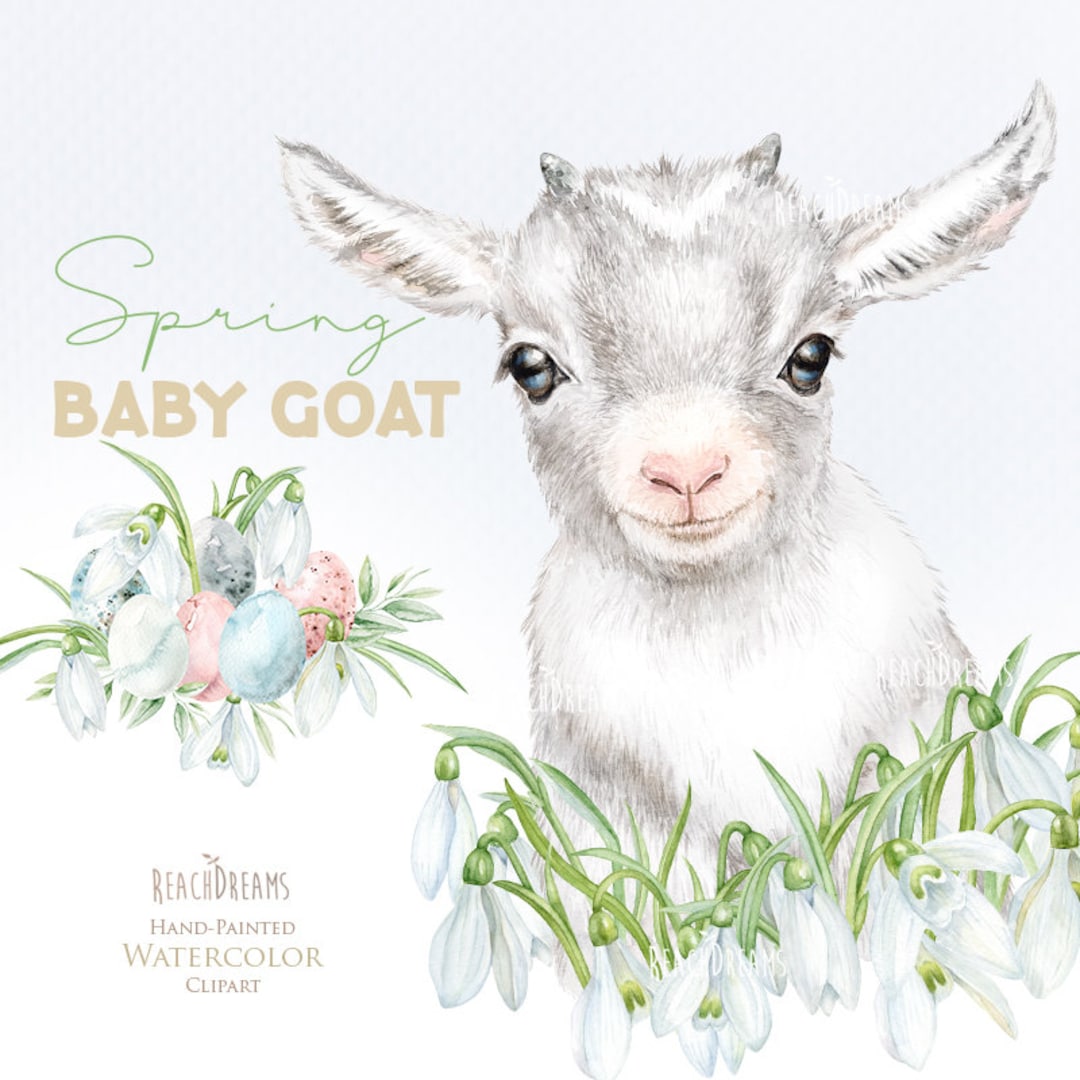 Baby Goat, Watercolor Little Animals, Floral Clipart, Spring, Easter ...