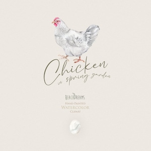 Watercolor Chicken Clipart White Hen Real Farm Animal Cute Country ...