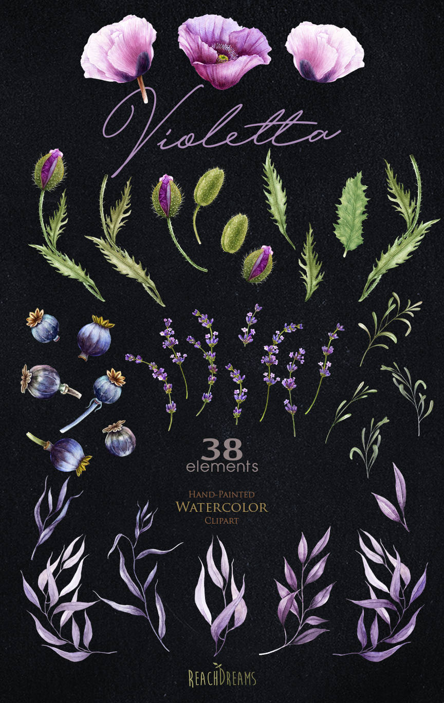 Watercolor Violet Poppy Lavender Purple Flowers Handpainted - Etsy