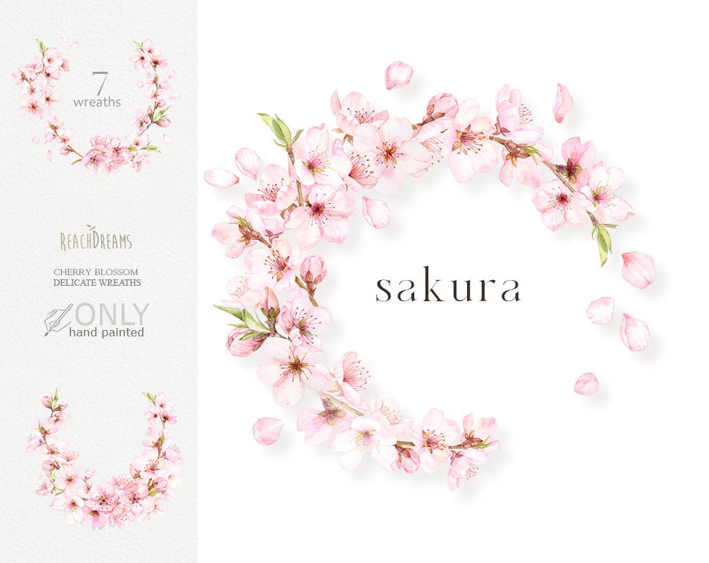 Watercolor Cherry Blossoms Clipart, Sakura Clipart, Floral Wreaths ...