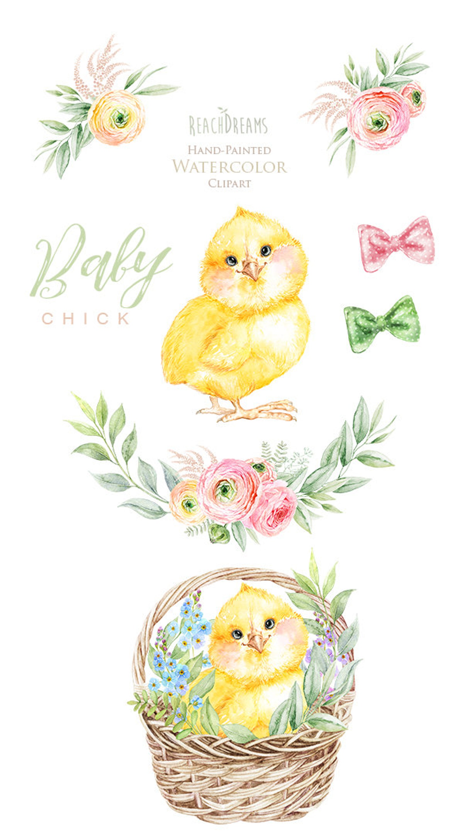 Watercolor Chick Clipart Little Animals Floral Spring - Etsy