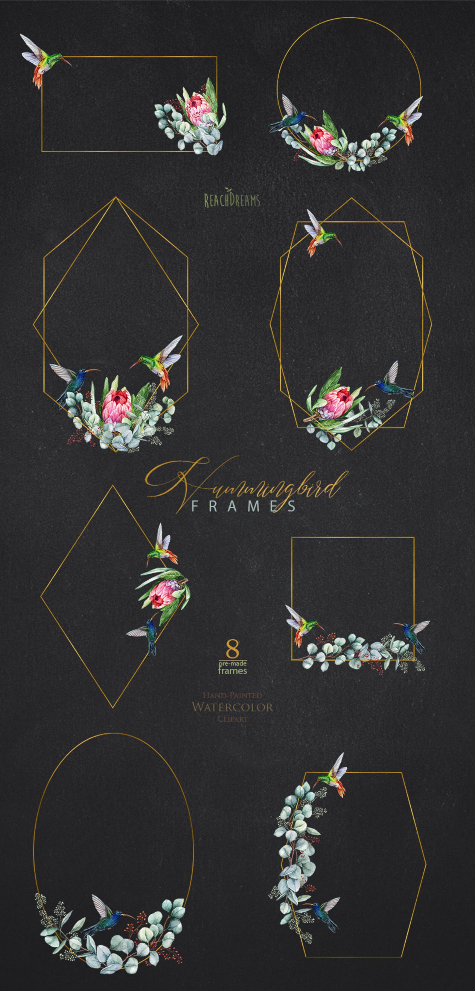 Hummingbirds Frames Watercolor Clipart Geometric Exotic - Etsy