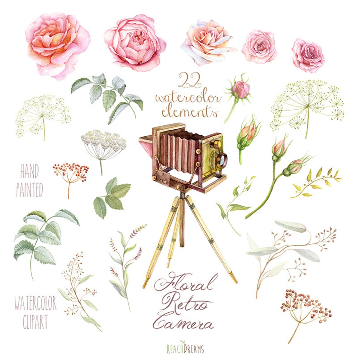 Watercolor Floral Retro Photo Camera. Vintage Wedding, Invite, Greeting ...