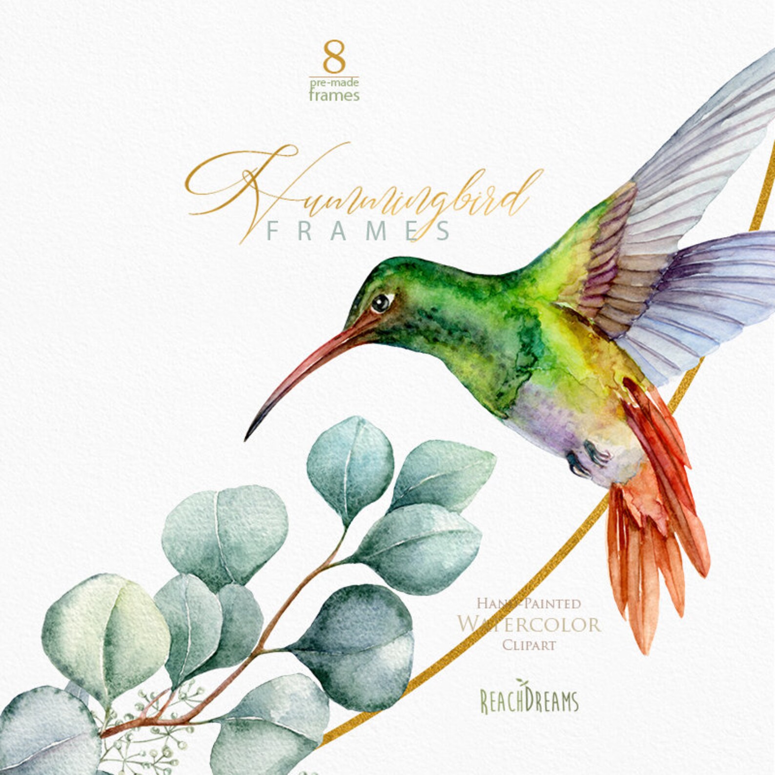 Hummingbirds Frames Watercolor Clipart Geometric Exotic - Etsy