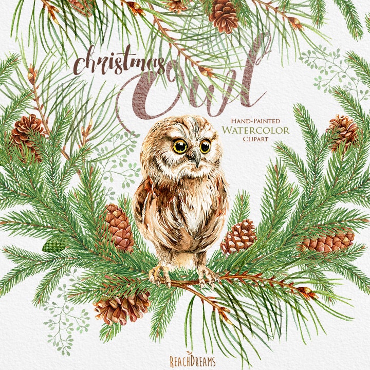 Christmas Watercolor Owl Happy holidays green spruce briar | Etsy