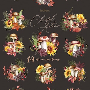 Mushrooms Sunflowers Autumn Leaves Leaf Fall Forest Watercolor Clipart ...