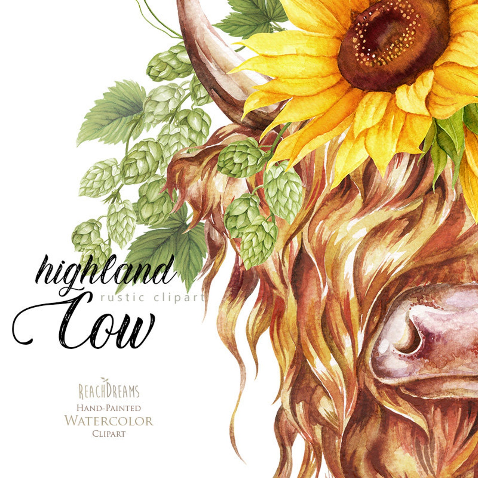 Highland Cow Png Watercolor Cow Clipart Cow in Sunflowers - Etsy