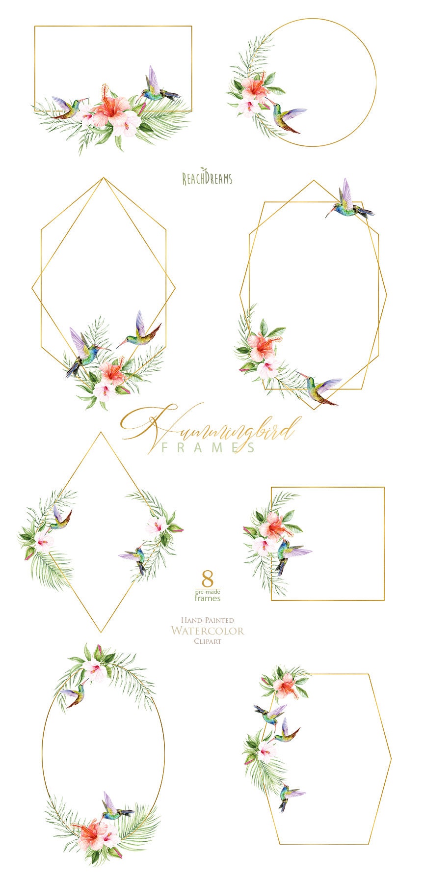 Hummingbirds Frames Watercolor Clipart Geometric Exotic - Etsy