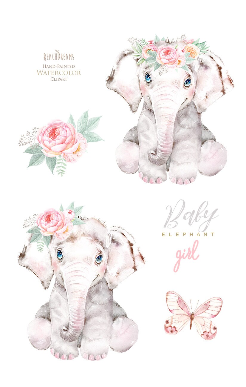 Watercolor Elephant Little Animals Clipart Girl Babies - Etsy