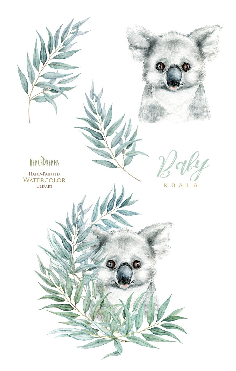 Watercolor Koala. Little Animals Clipart, Babies Portrait, Australia ...