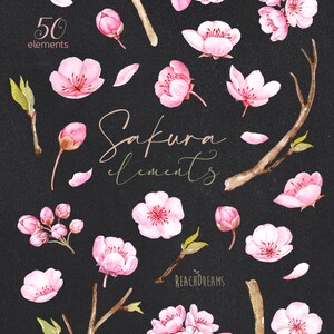 Sakura Elements. Watercolor Floral Clipart, Cherry Blossom, Pink ...