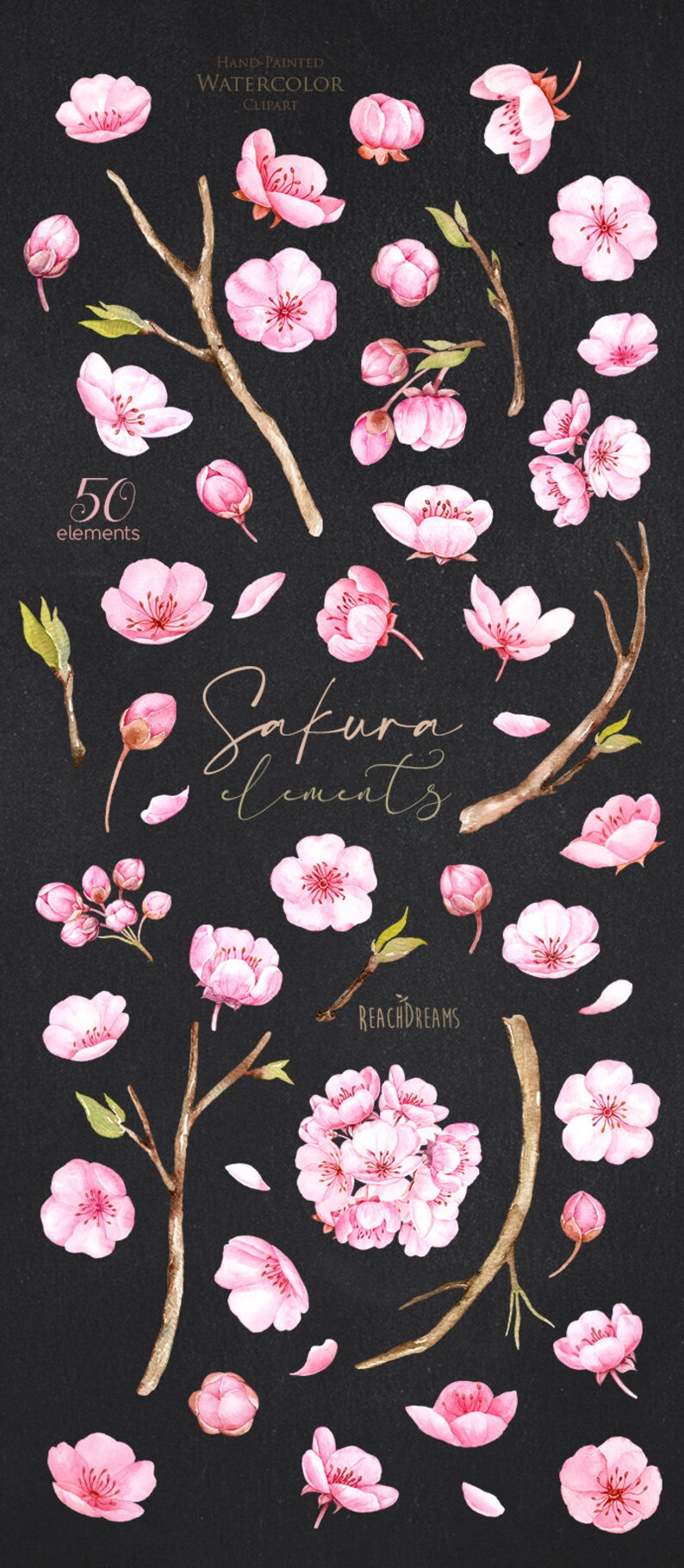 Sakura Elements. Watercolor Floral Clipart, Cherry Blossom, Pink ...