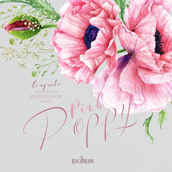 Pink Poppy Flower Art