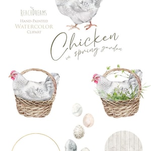 Watercolor Chicken Clipart White Hen Real Farm Animal Cute Country ...