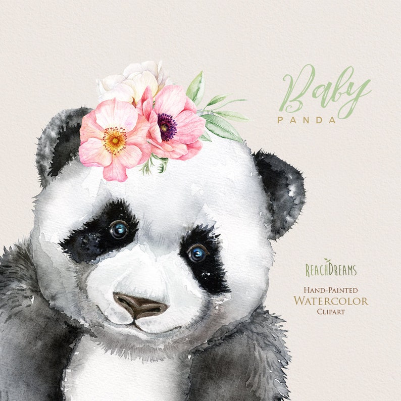 Watercolor Panda, Little Animals Clipart, Babies Portrait, Cub, Tropics ...
