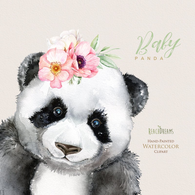 Watercolor Panda Little Animals Clipart Babies Portrait | Etsy