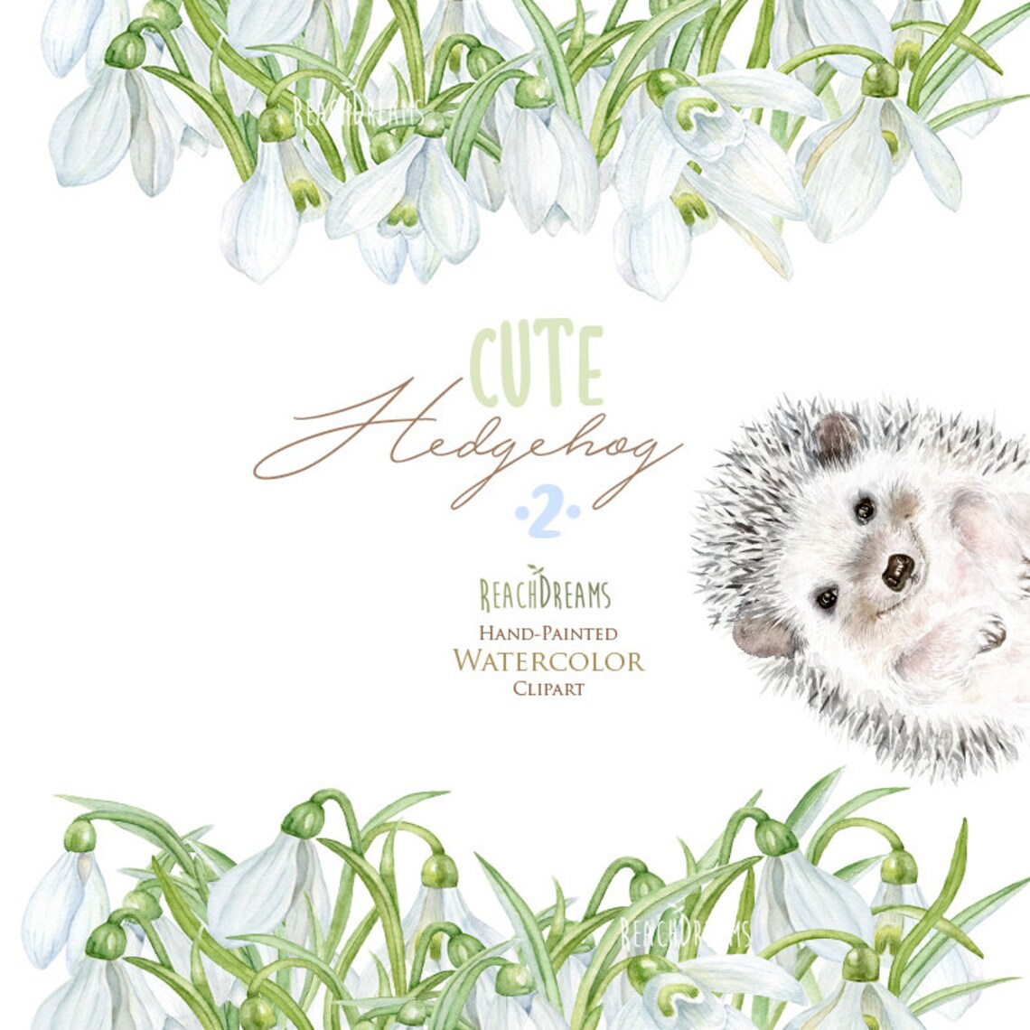 Hedgehog Cute Little Animals Watercolor Clipart Nursery | Etsy